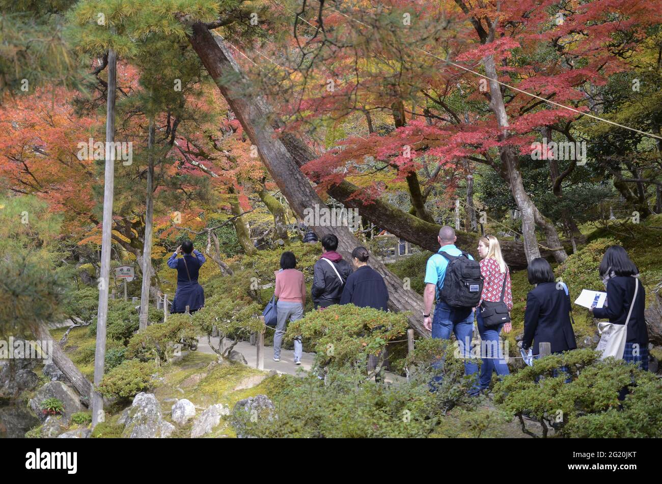 KYOTO, JAPAN - Dec 10, 2019: Kyoto, Japan- 24 Nov, 2019: Tourists ...