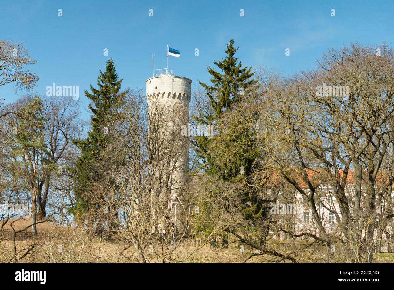 Estonia, spring 2021. Tall Hermann tower. Tallinn medieval castle. Flag ...