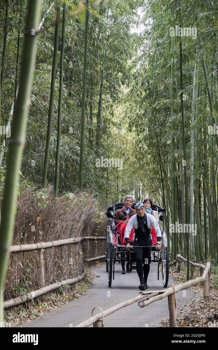 KYOTO, JAPAN - Dec 11, 2019: Kyoto, Japan-26 Nov, 2019: Pulled Rickshaw ...