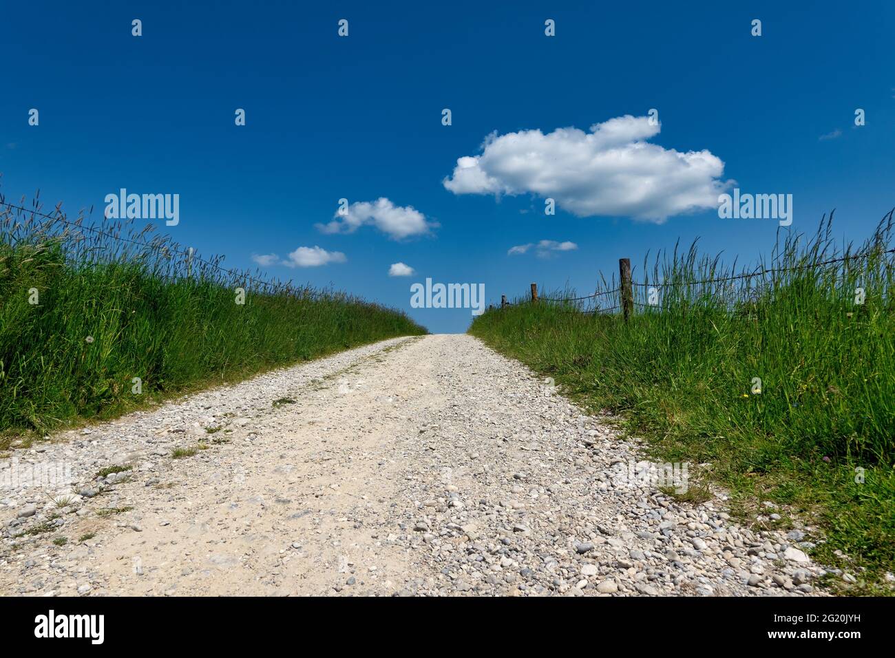Gravel road through meadows hi-res stock photography and images - Alamy