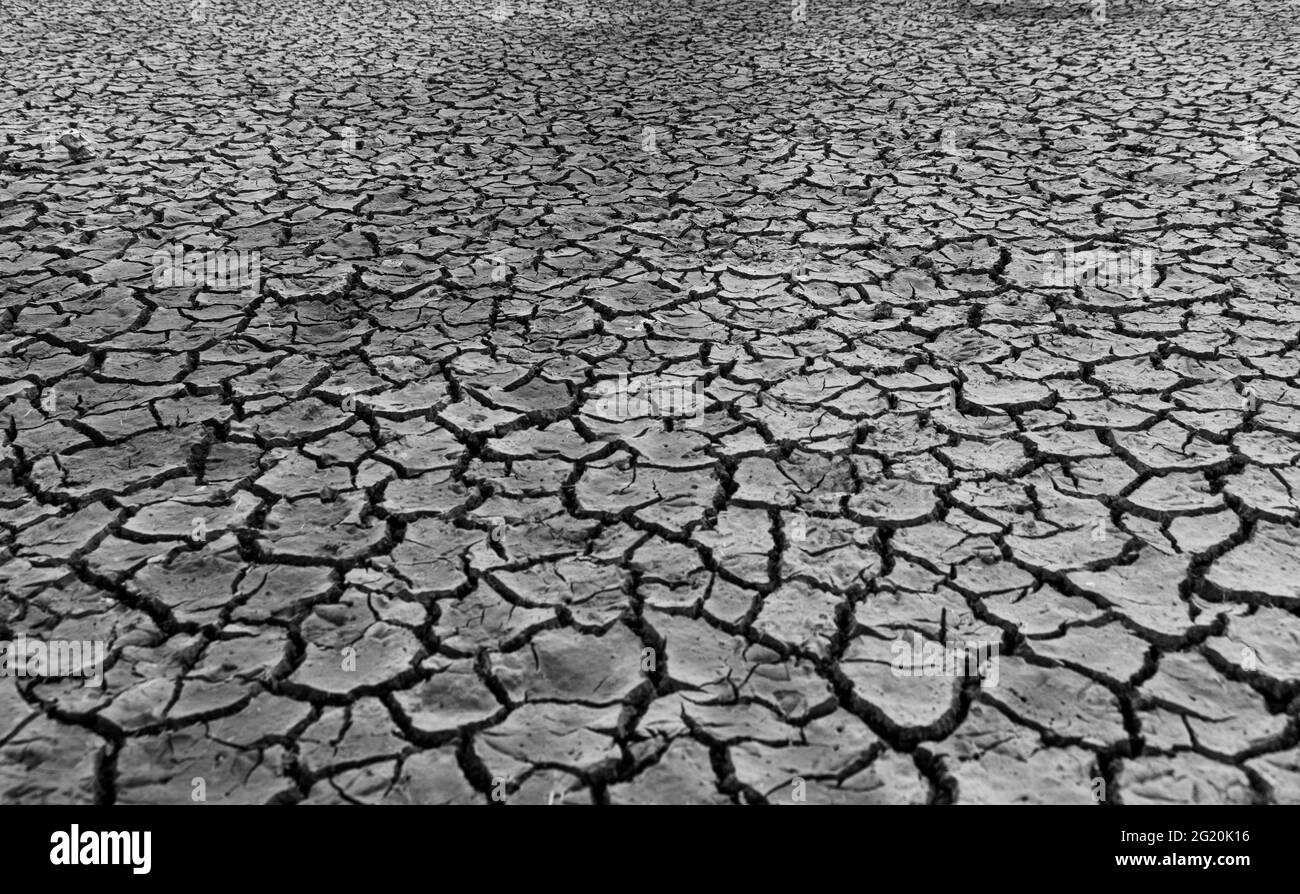 Mudflat cracked desert barren surface for natural background, layer ...