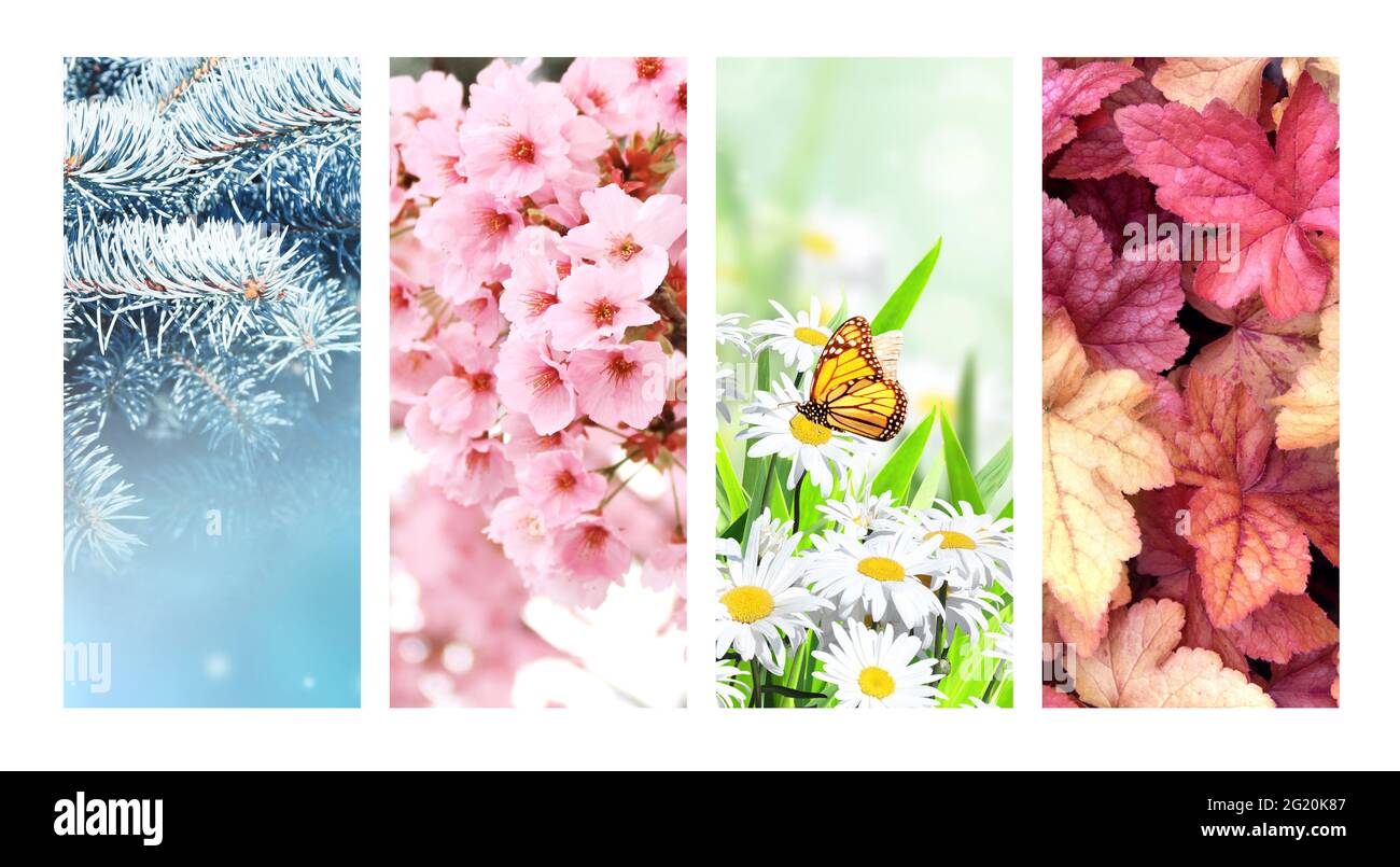 Four seasons of year. Set of vertical nature banners with winter ...