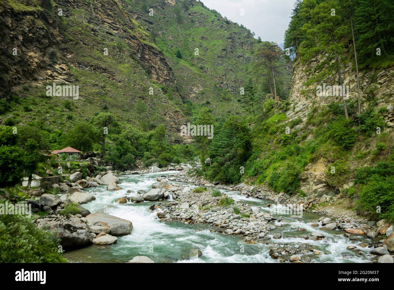 River running in the Tirthan Valley Stock Photo - Alamy