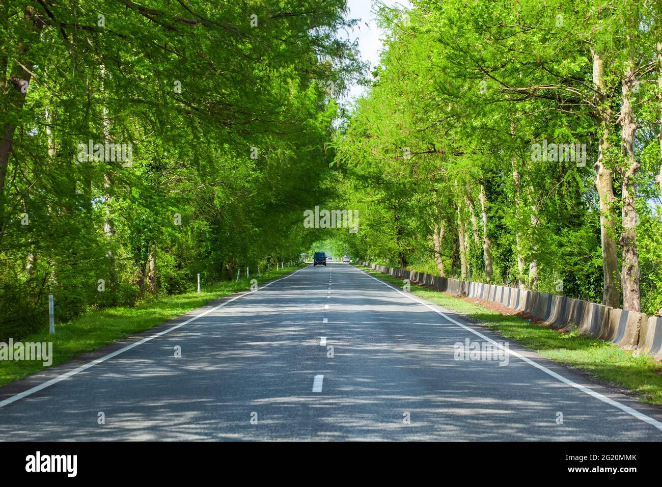 Swamp road georgia hi-res stock photography and images - Alamy