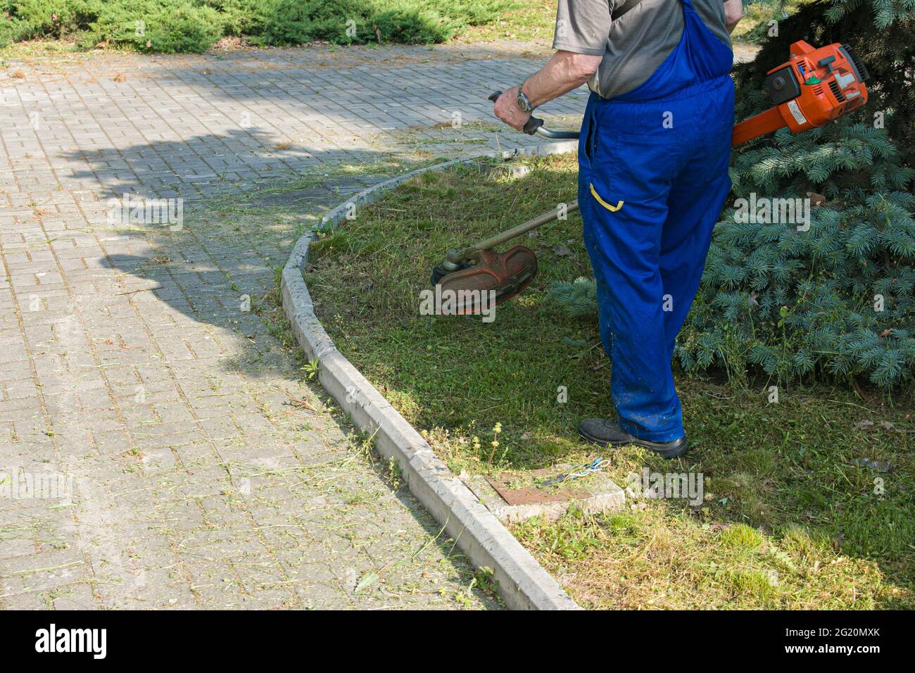 Trimer hi-res stock photography and images - Alamy