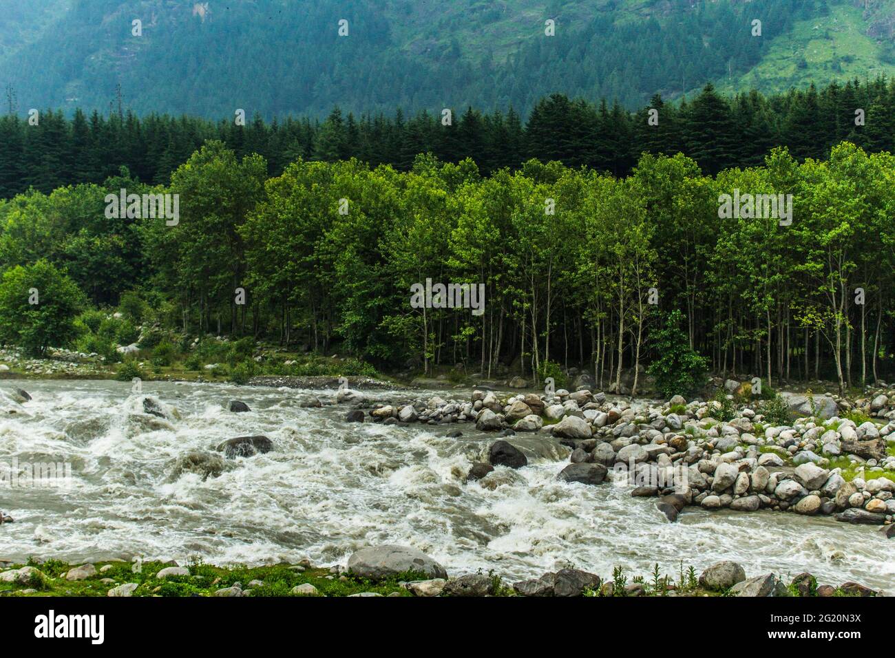 Beas river flowing in Manali Stock Photo - Alamy