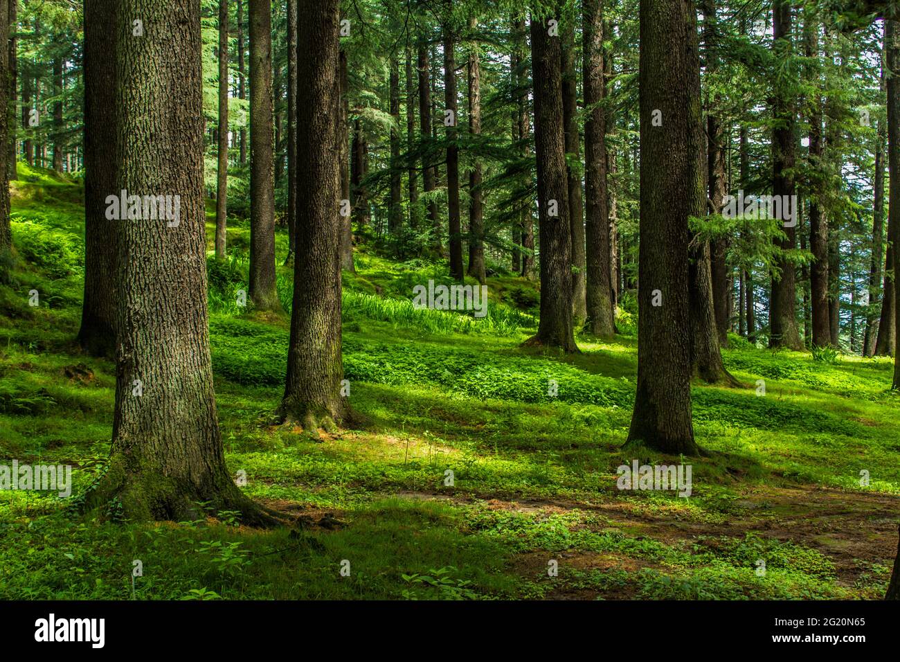 Himachal pradesh manali mountain river hi-res stock photography and ...