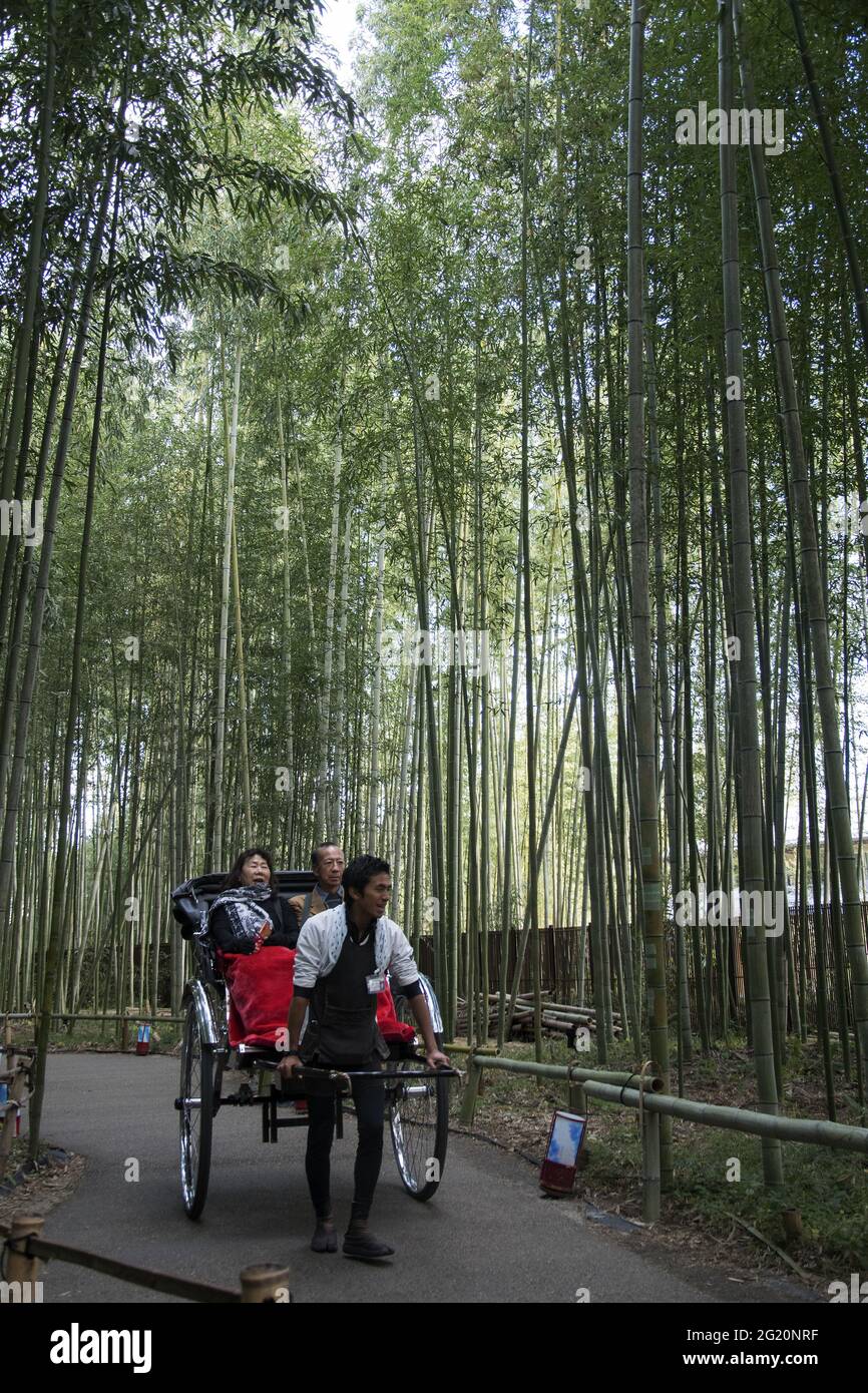 KYOTO, JAPAN - Dec 11, 2019: Kyoto, Japan-26 Nov, 2019: Pulled Rickshaw ...
