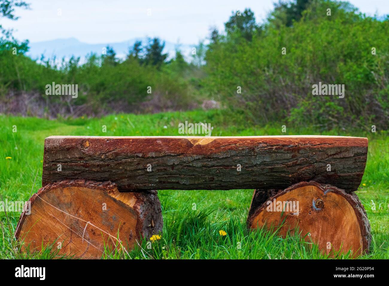 Carved log bench hi-res stock photography and images - Alamy