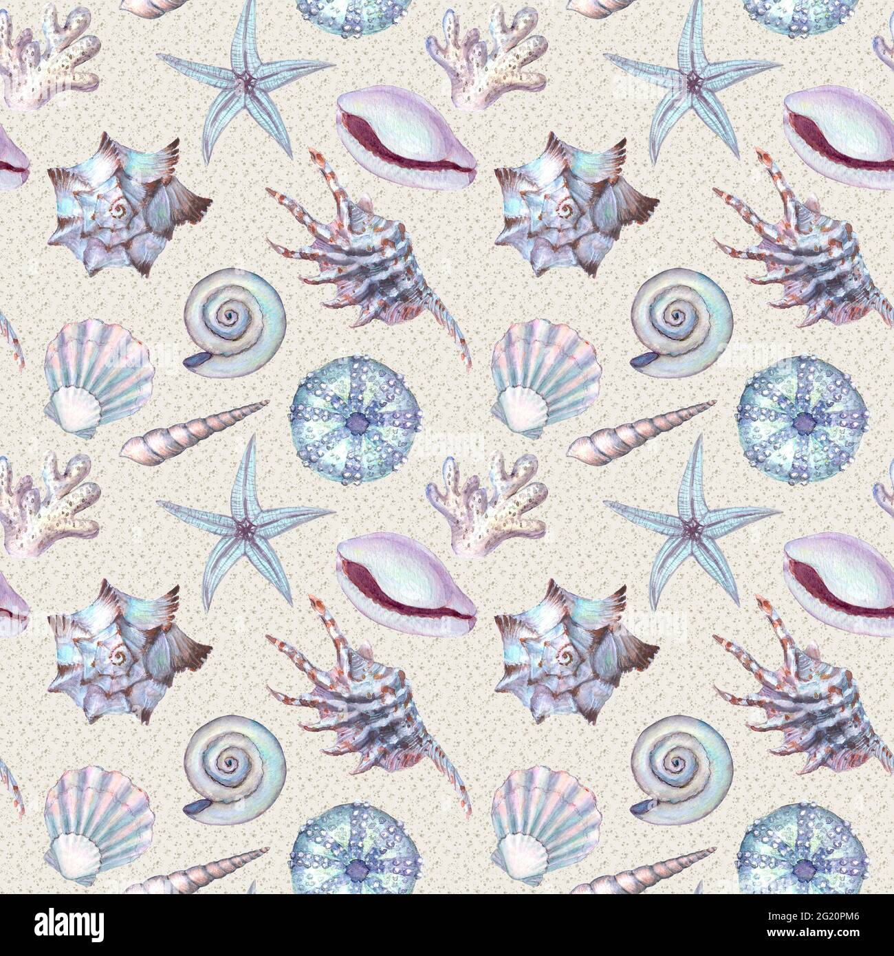 Watercolor sea shell seamless pattern. Hand drawn seashells texture ...