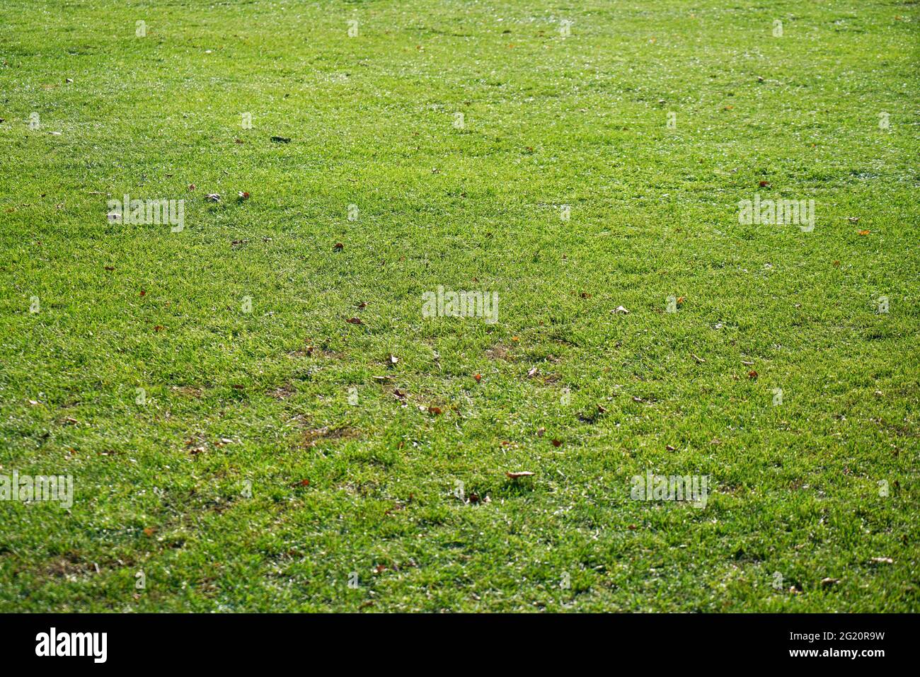 Closeup shot of a flat and empty field with green grass - perfect for ...