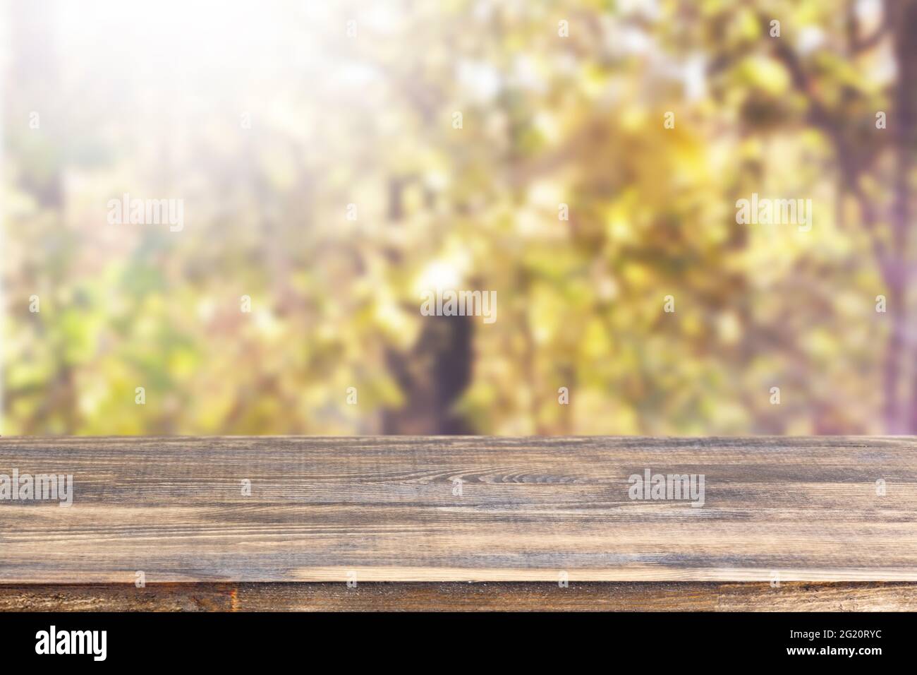 wood table top on blur autumn forest background Stock Photo - Alamy