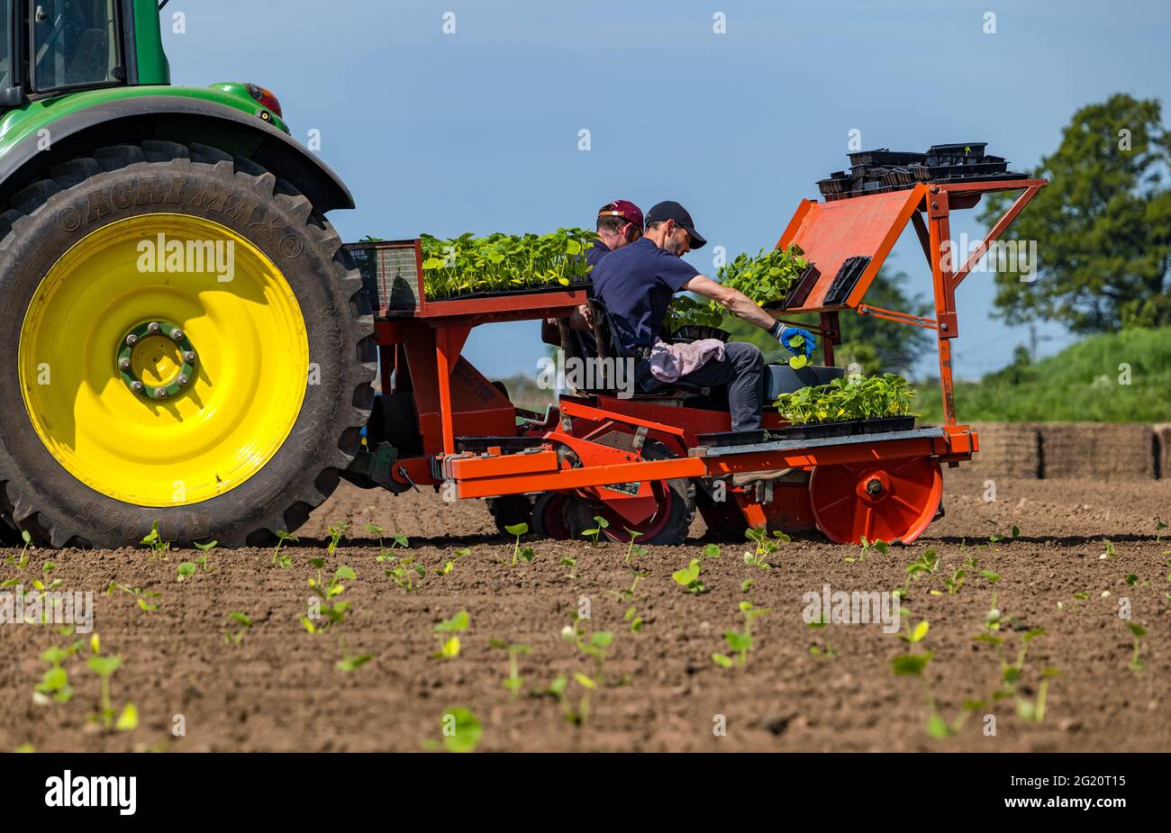 Farm field workers hi-res stock photography and images - Alamy