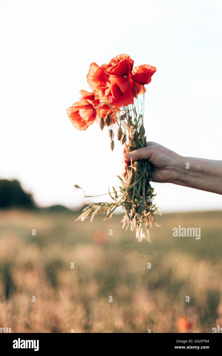 Red hand day soldiers hi-res stock photography and images - Alamy