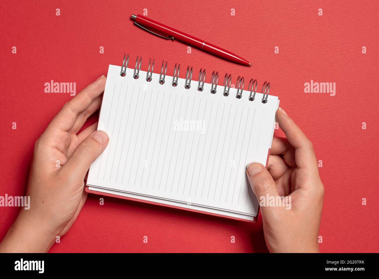 Drawing Creative Designs Taking Important Notes Planning New Ideas ...