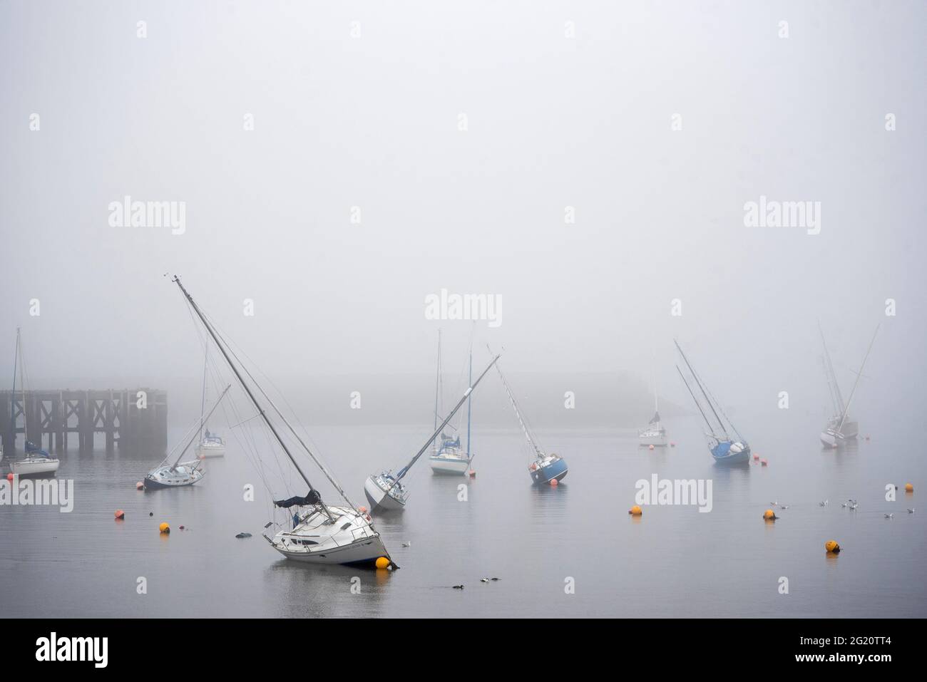 East Coast haar or sea fog at Granton Harbour on the Firth of Forth ...