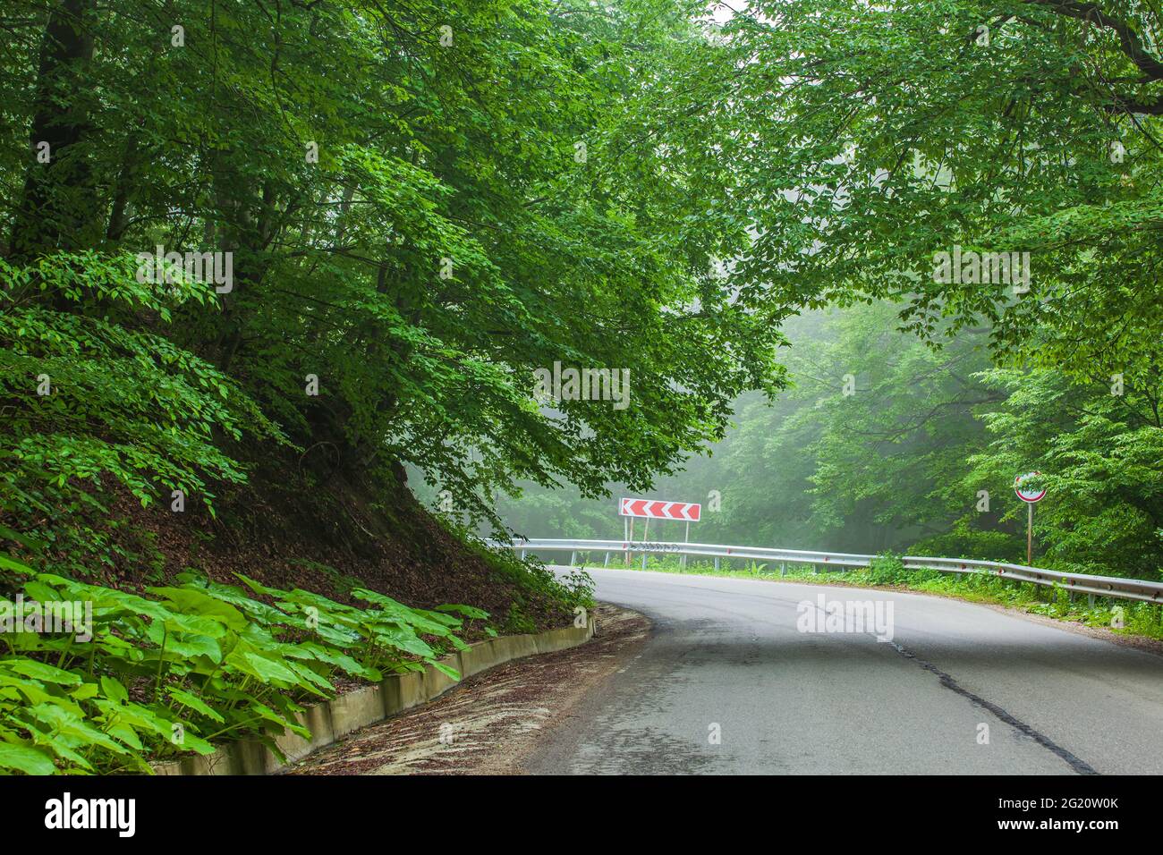 Sabaduri forest in summer, a beautiful place in the north of Tbilisi ...