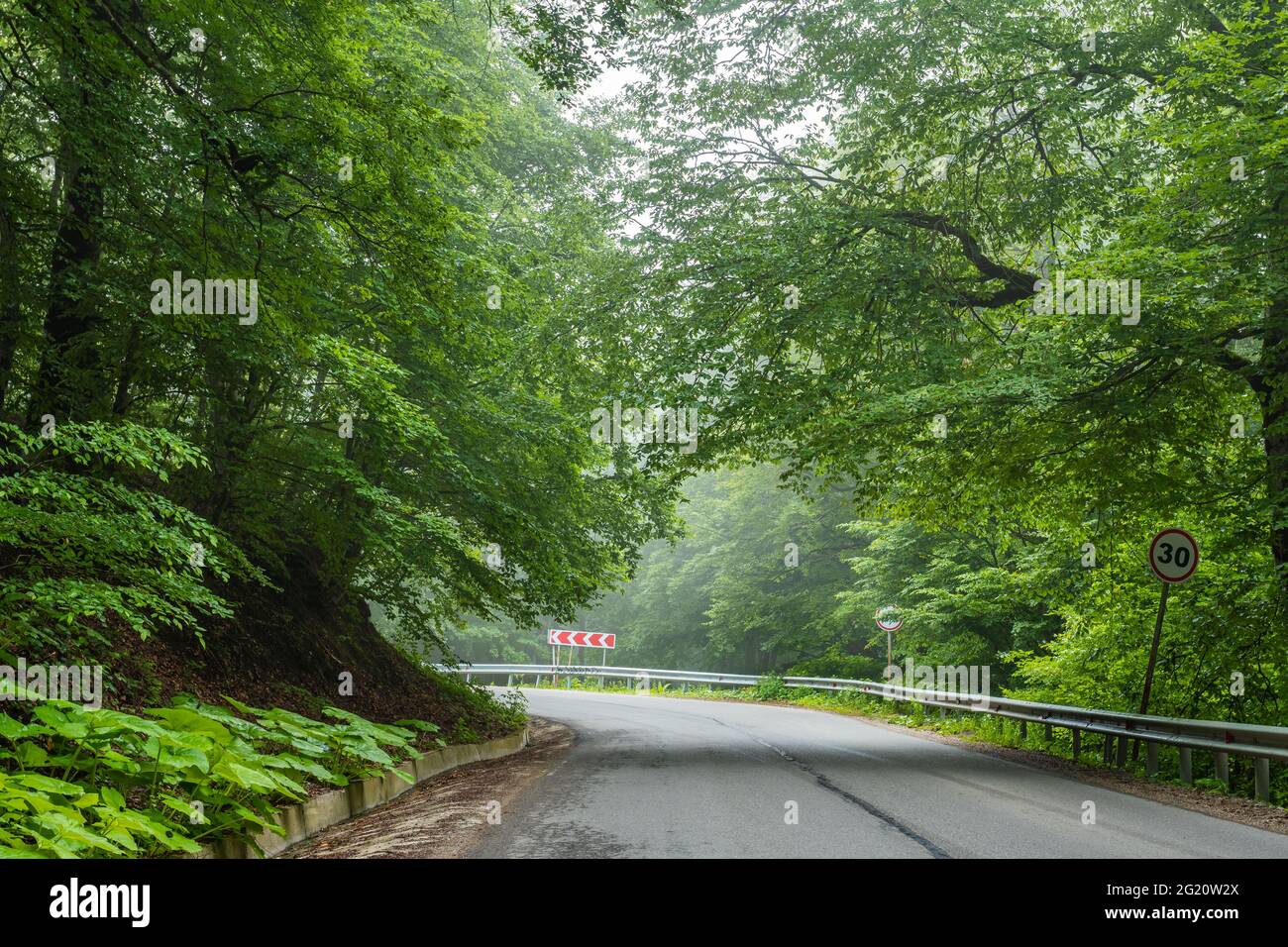 Sabaduri forest in summer, a beautiful place in the north of Tbilisi ...