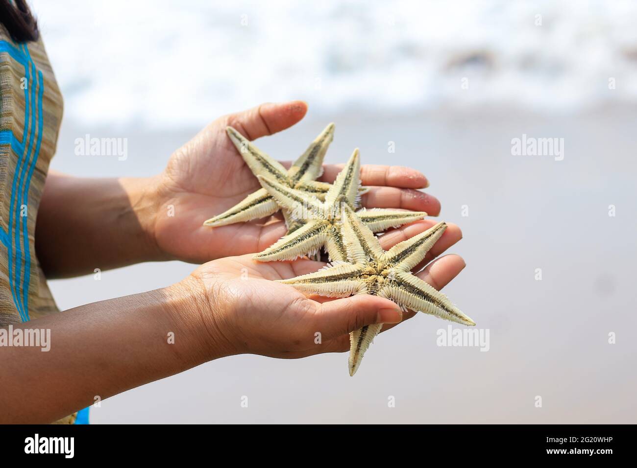 Human hands holding starfish hi-res stock photography and images - Alamy