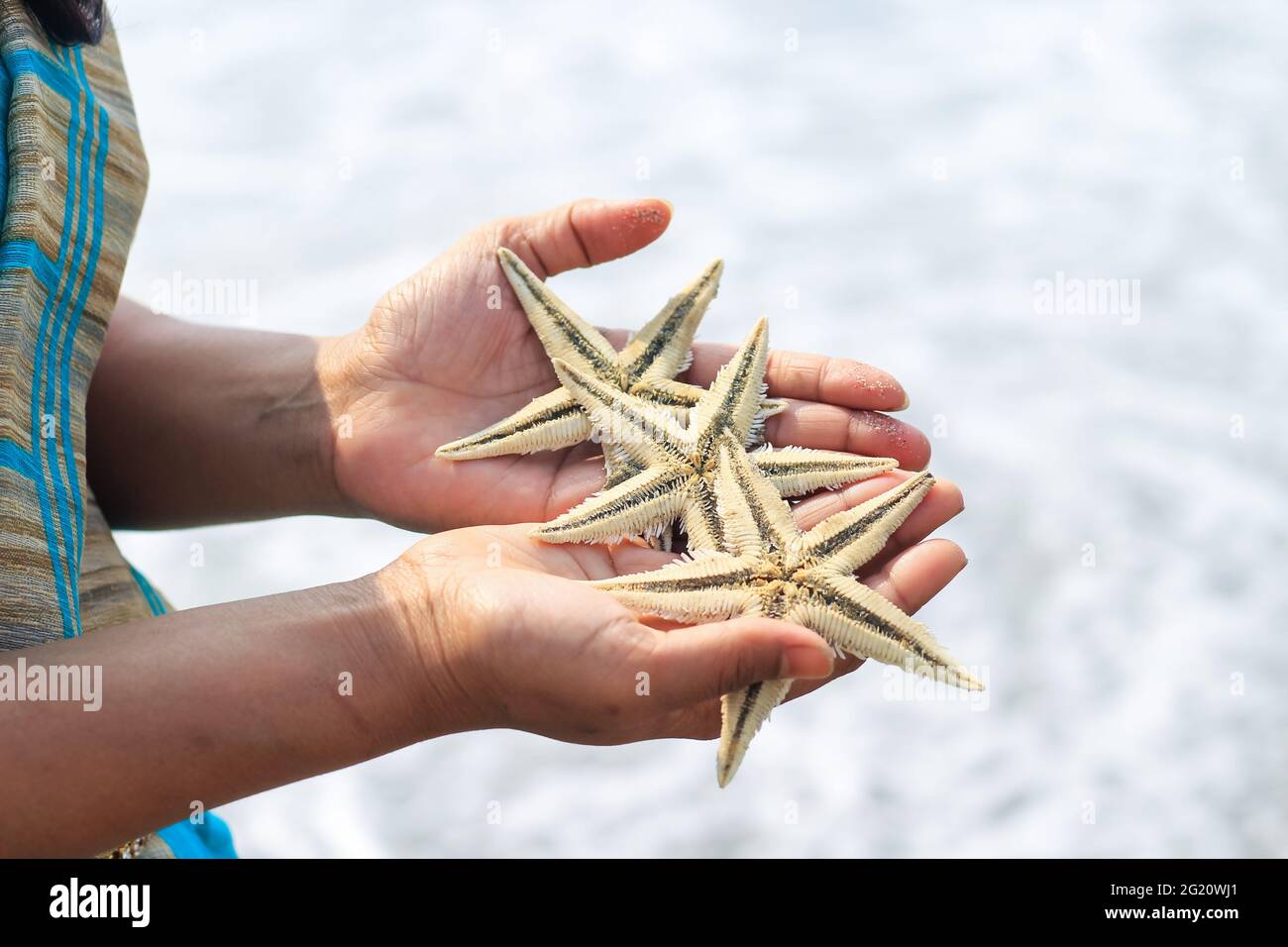 Humans Holding Starfishes