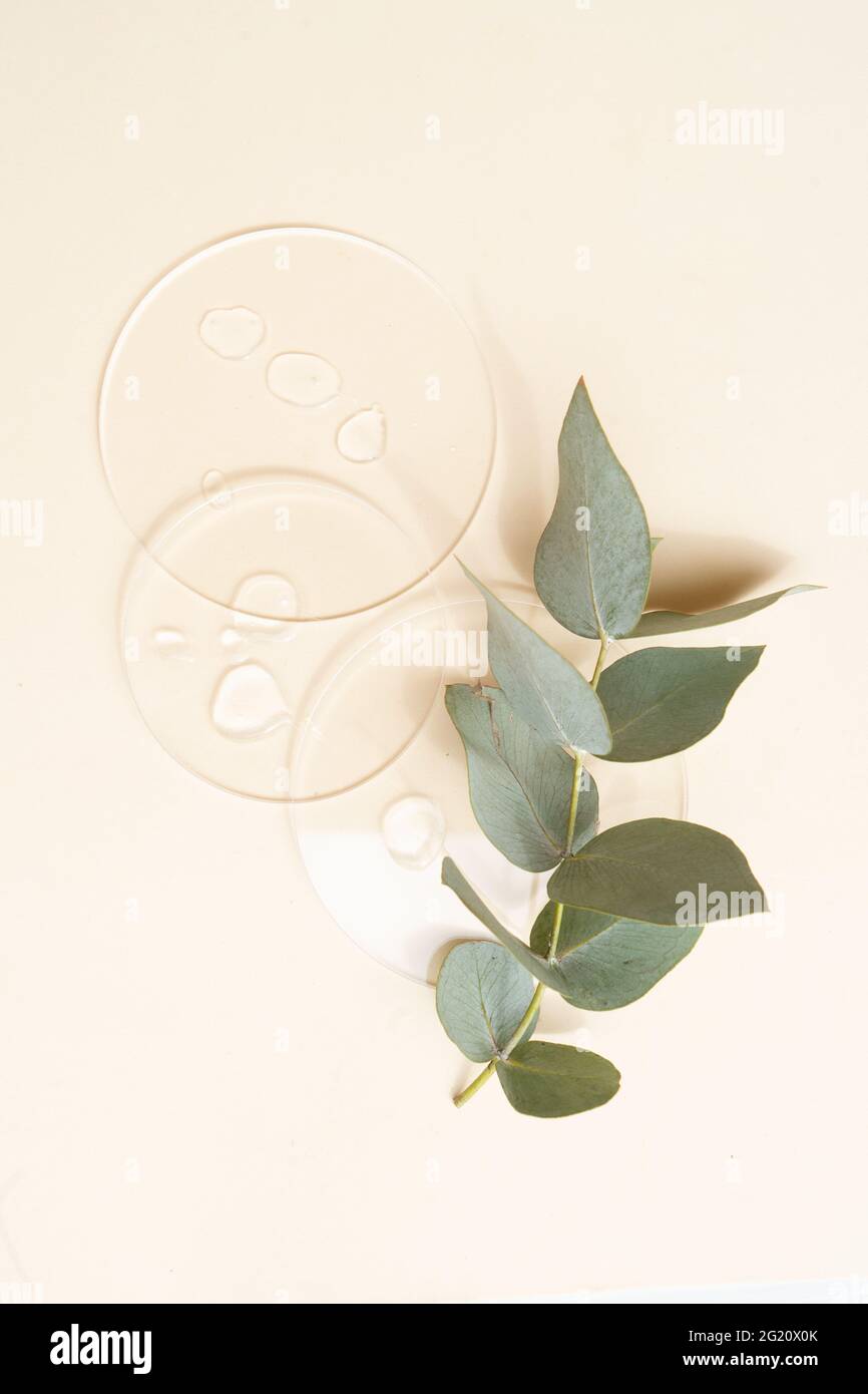 Concept laboratory tests and research Stock Photo - Alamy