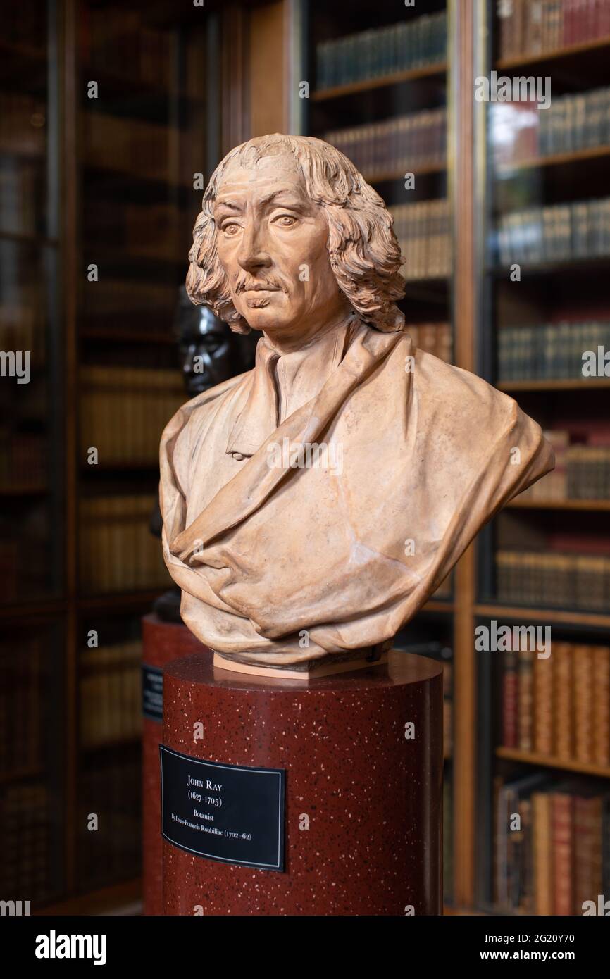 Bust of John Ray, The British Museum, London Uk Stock Photo - Alamy