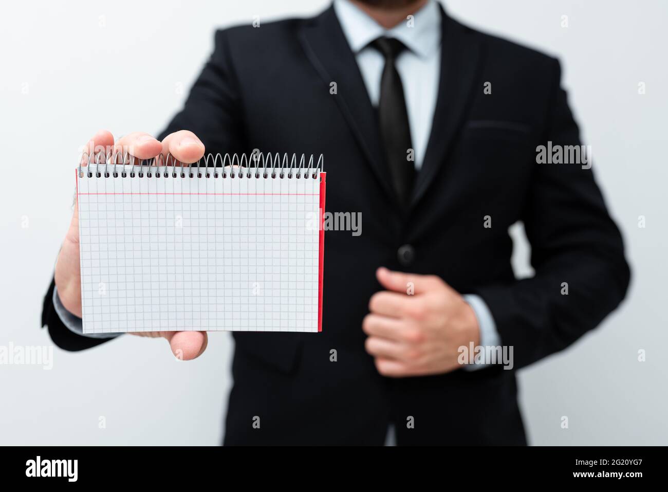 Presenting New Plan Ideas Demonstrating Planning Process Introducing ...