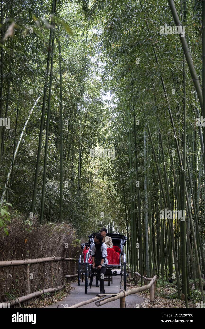 KYOTO, JAPAN - Dec 11, 2019: Kyoto, Japan-26 Nov, 2019: Pulled Rickshaw ...