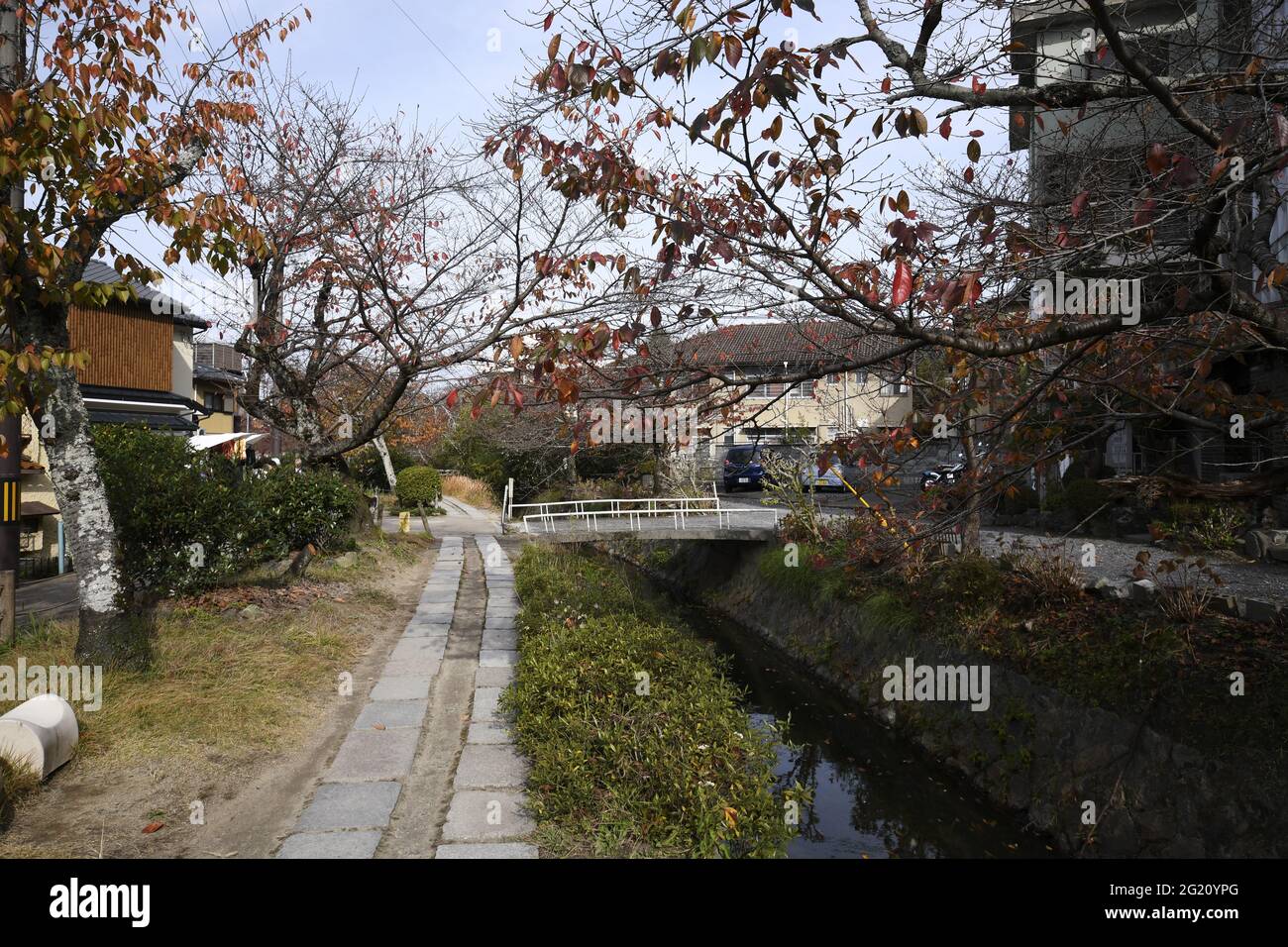 Philosopher's Path with autumn leave in Kyoto Stock Photo - Alamy