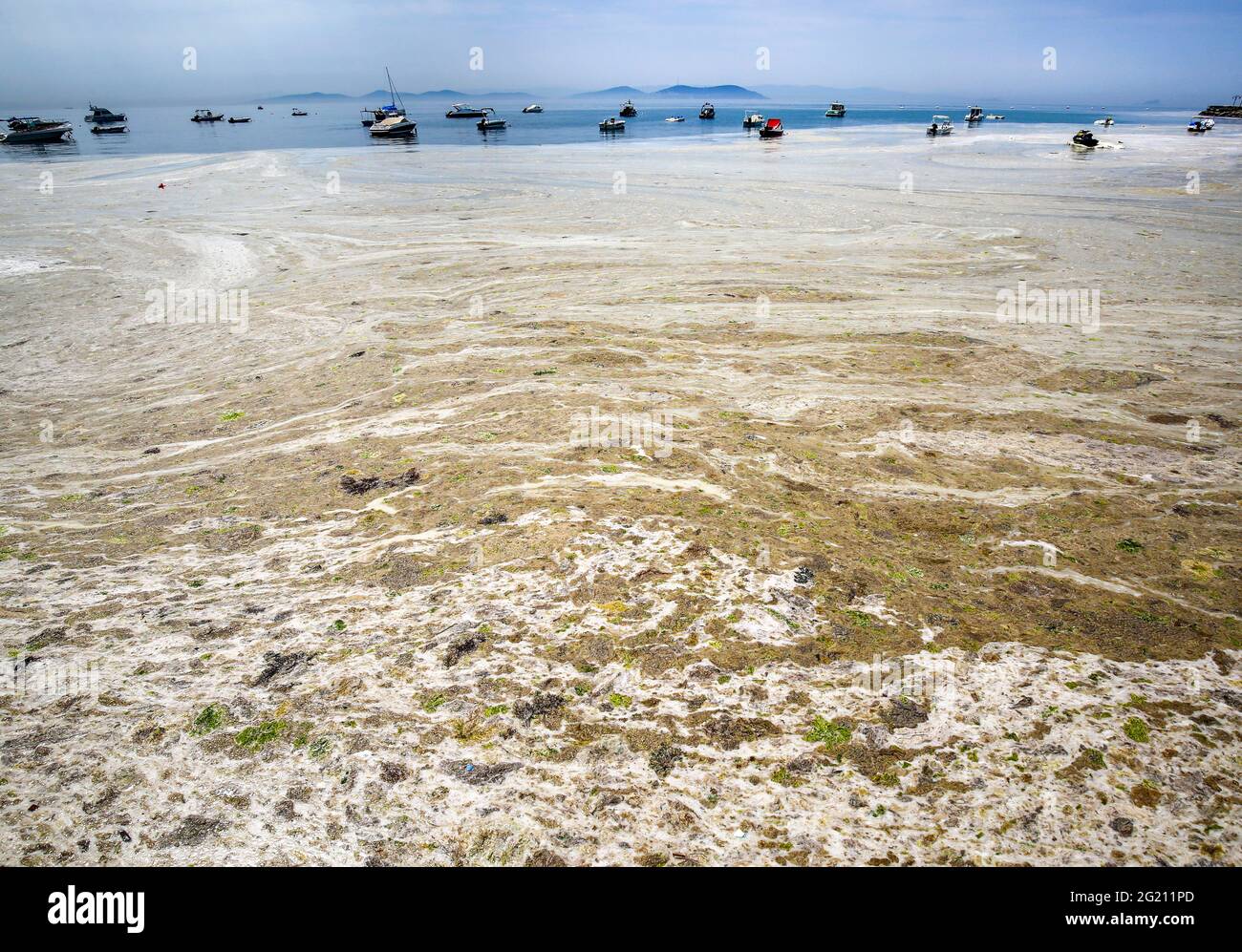 Istanbul, Istanbul, Turkey. 7th June, 2021. Marine mucilage, sometimes ...