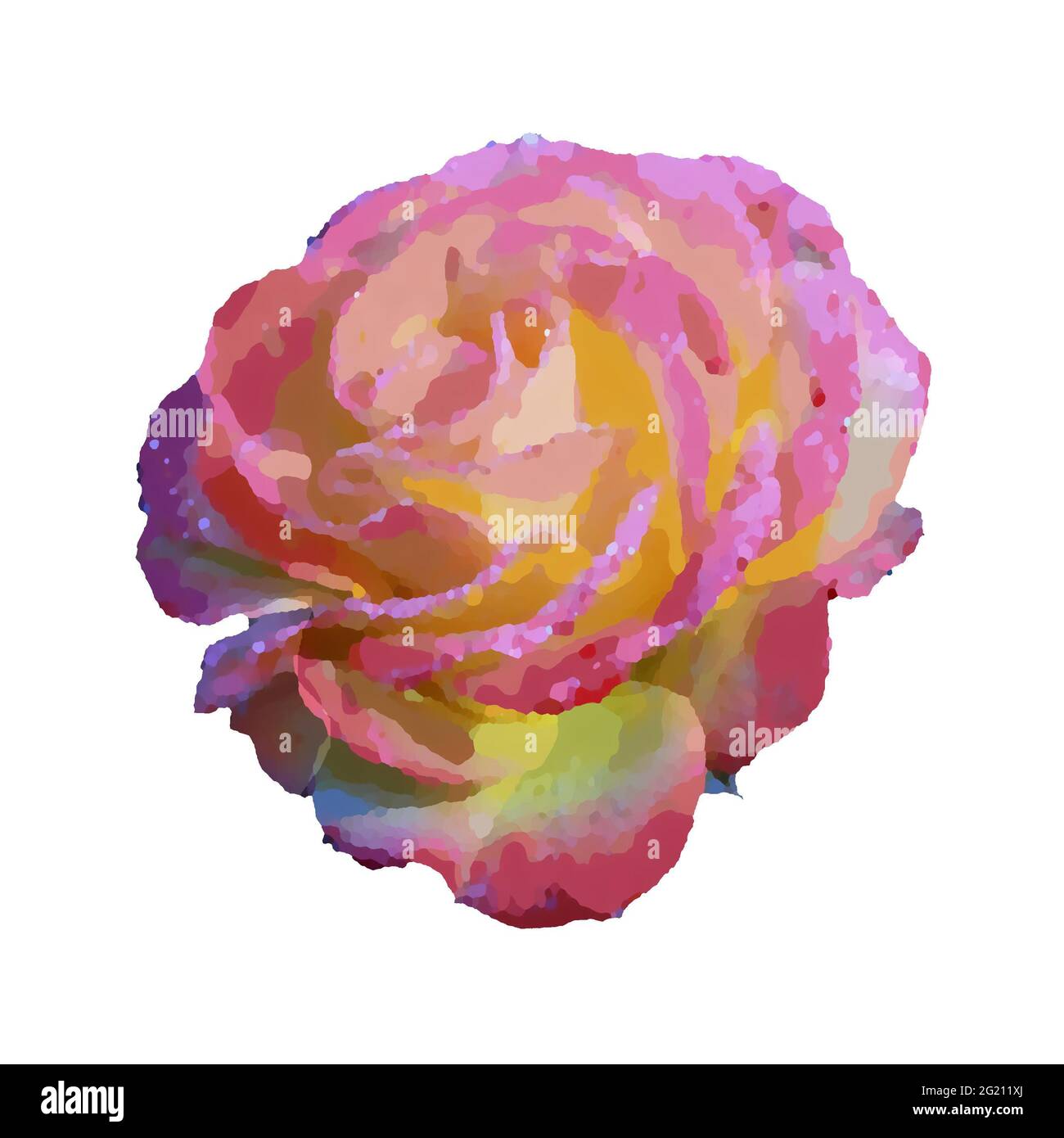 Wet rose petals Cut Out Stock Images & Pictures - Alamy
