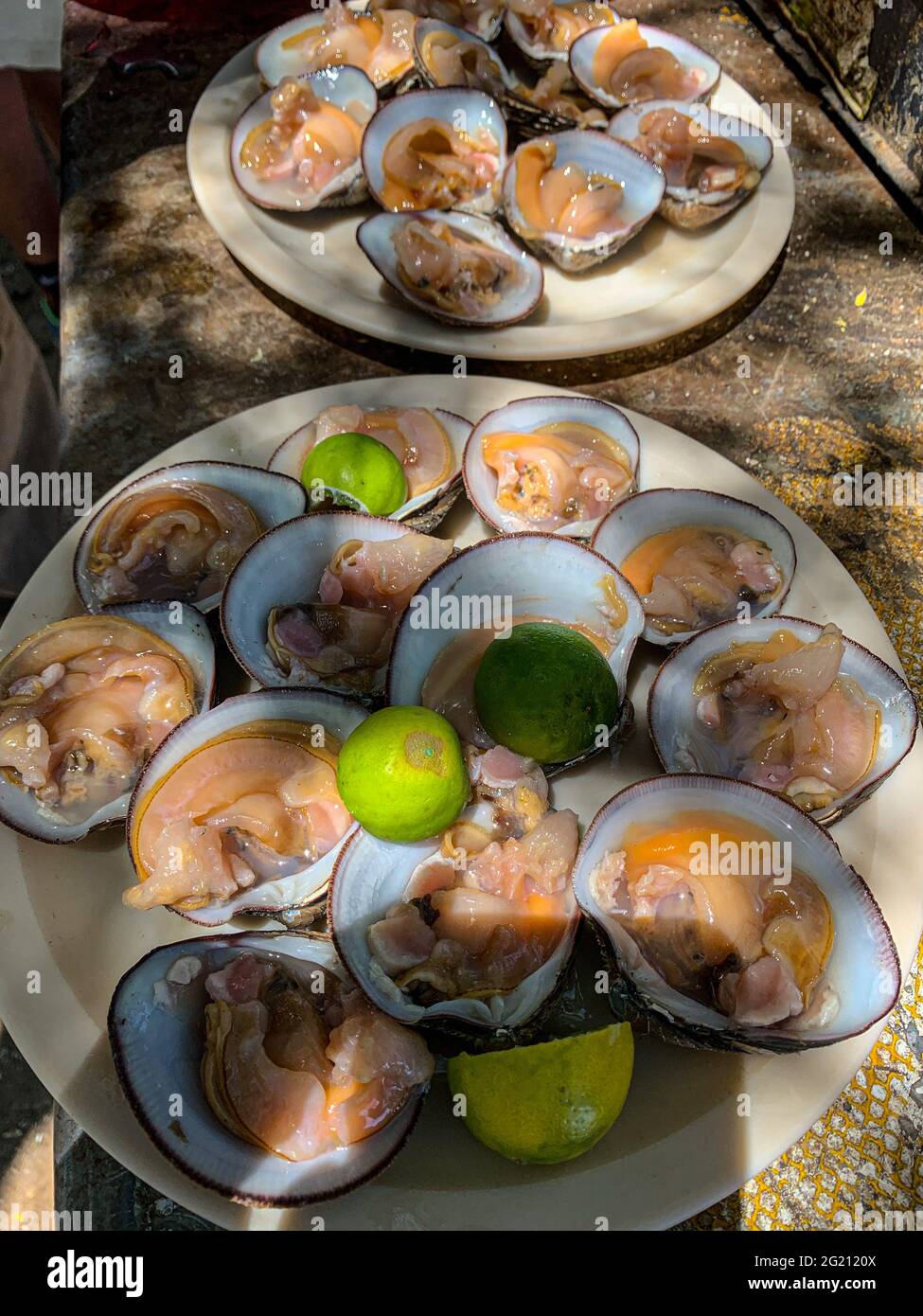 Norte y concha hi-res stock photography and images - Alamy