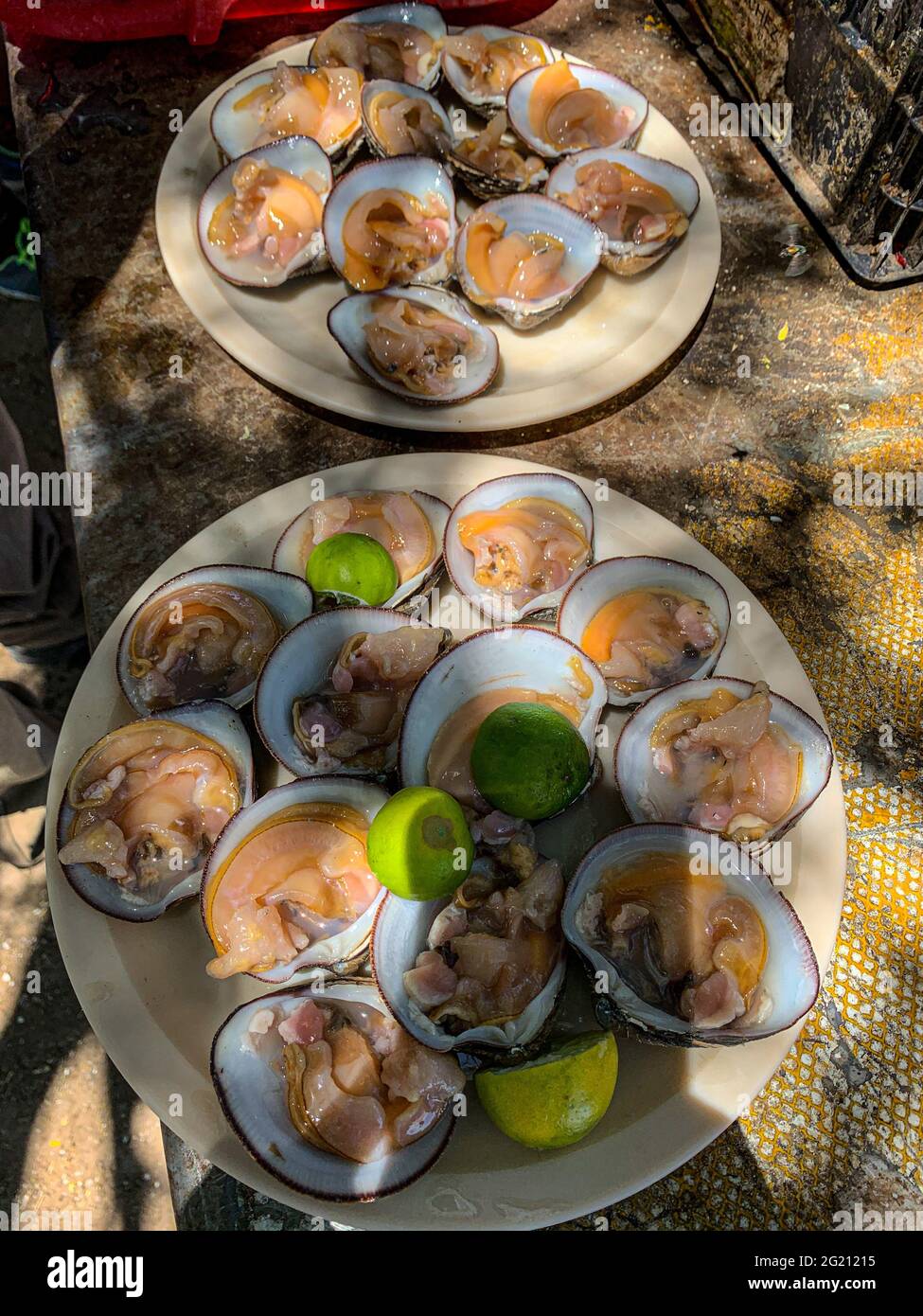 Norte y concha hi-res stock photography and images - Alamy