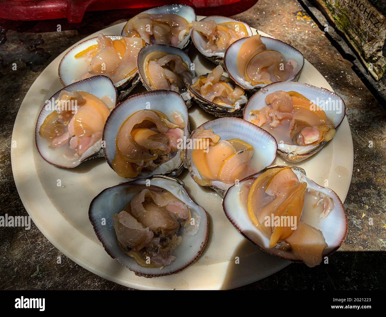 Norte y concha hi-res stock photography and images - Alamy