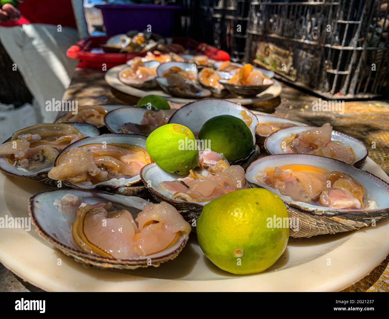 Norte y concha hi-res stock photography and images - Alamy