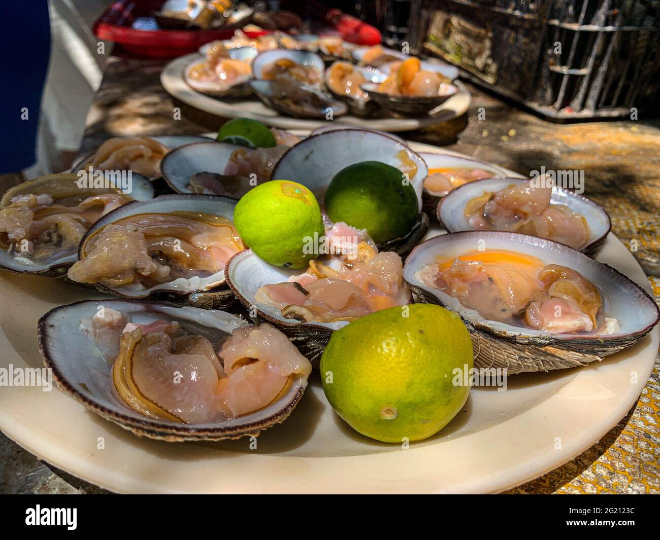 Norte y concha hi-res stock photography and images - Alamy