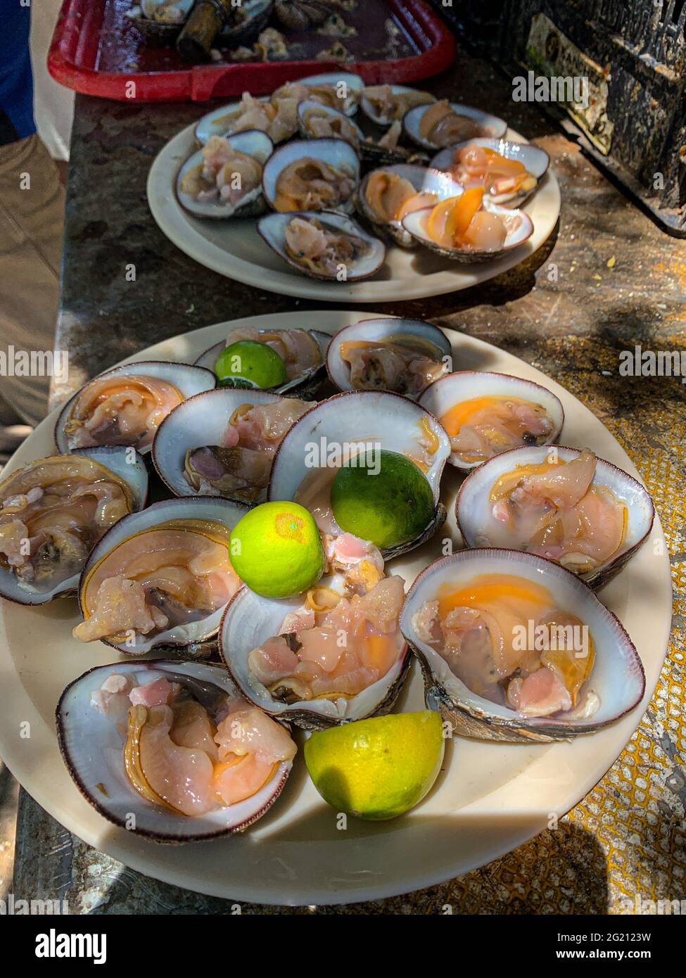 Norte y concha hi-res stock photography and images - Alamy