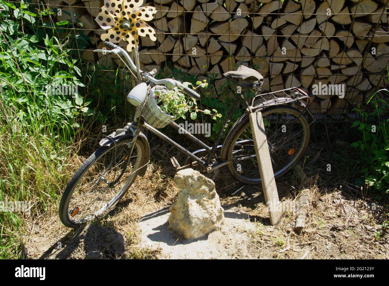 Vintage rusty Bicycle in the ornamental garden as retro garden ...