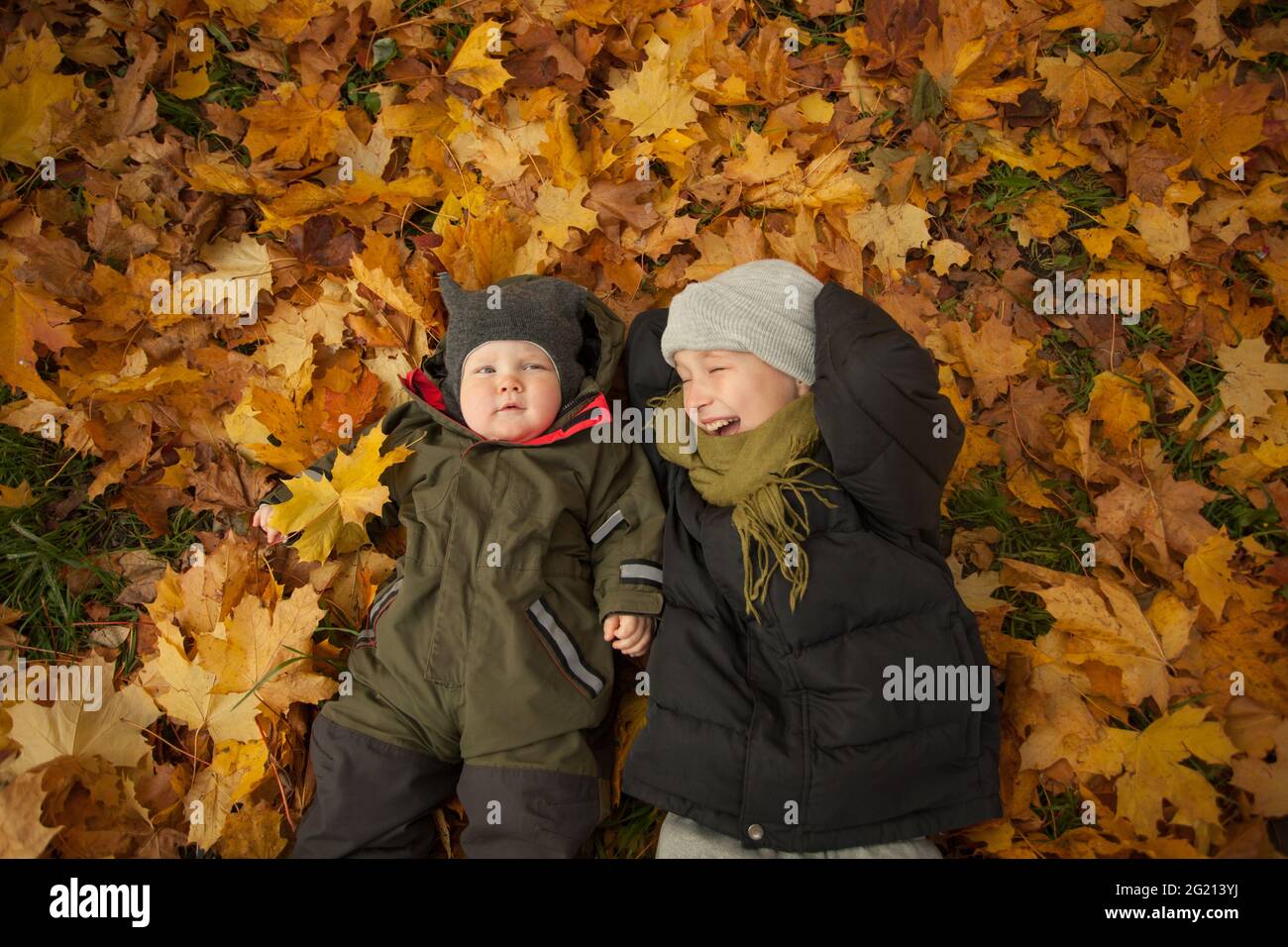 Happy brothers laughing and lying on autum fall leaves background. Boy ...