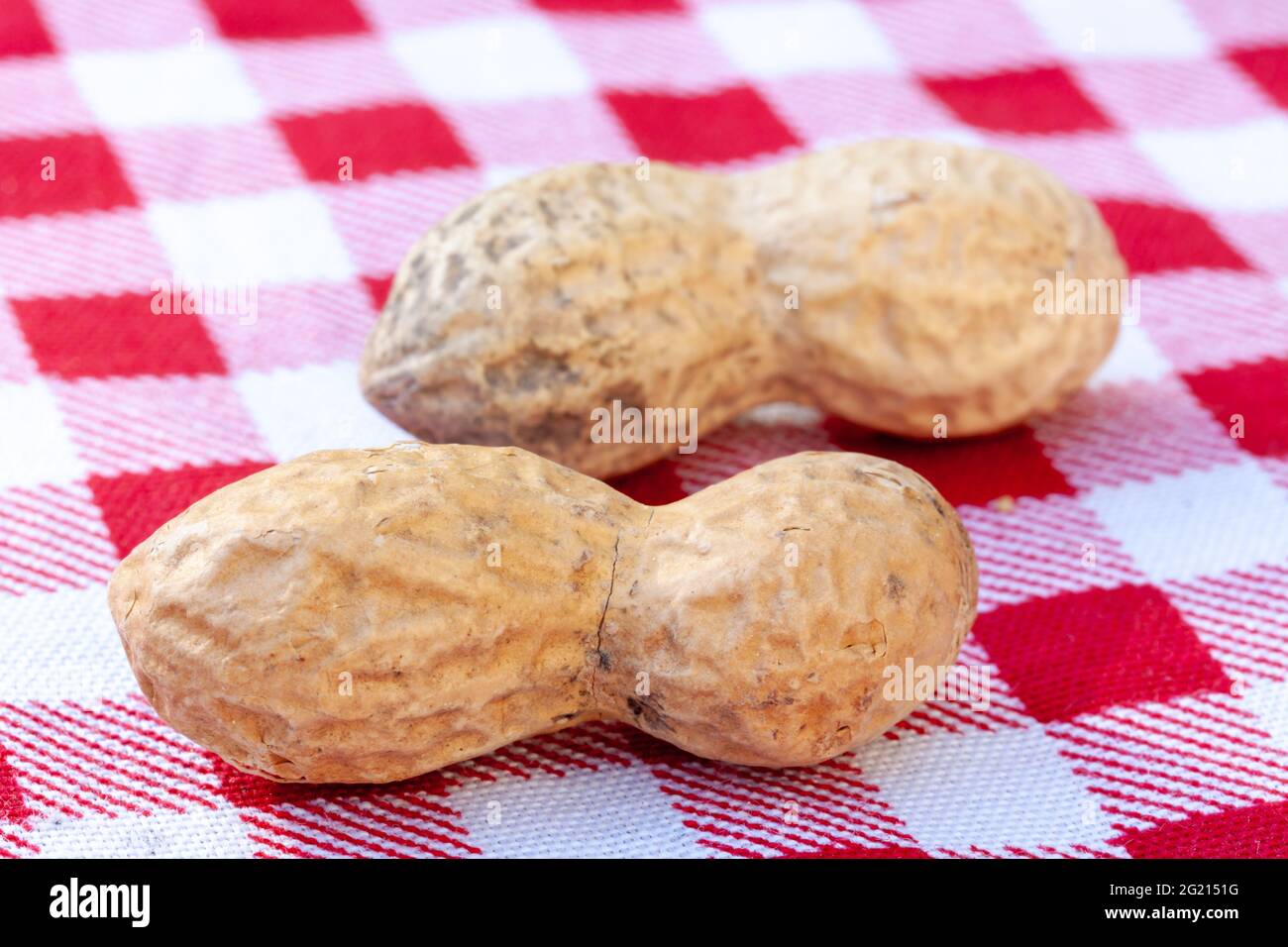 Closeup shot two delicious hi-res stock photography and images - Alamy