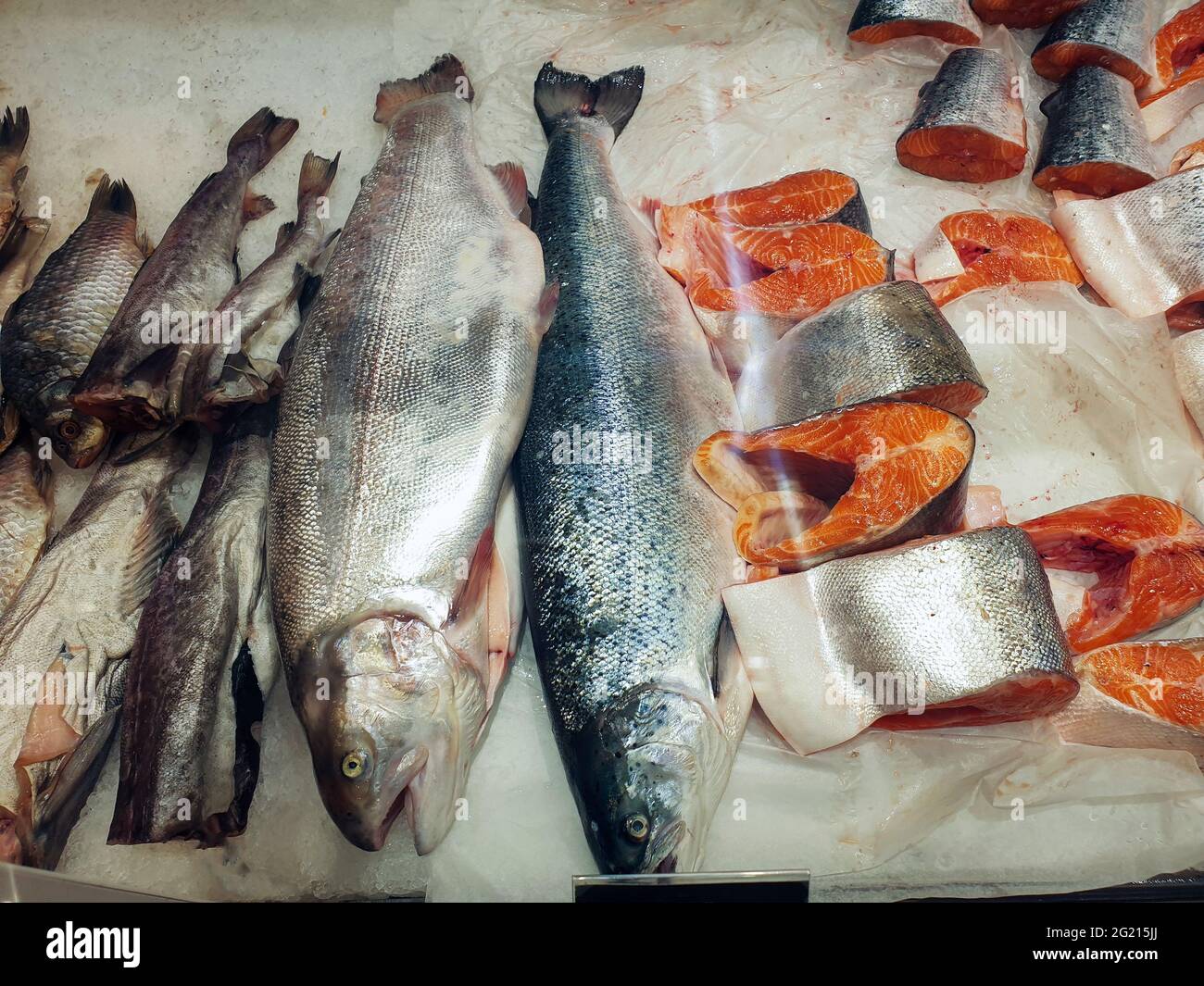 Whole salmon fish inside a grocery supermarket and salmon steaks with ...