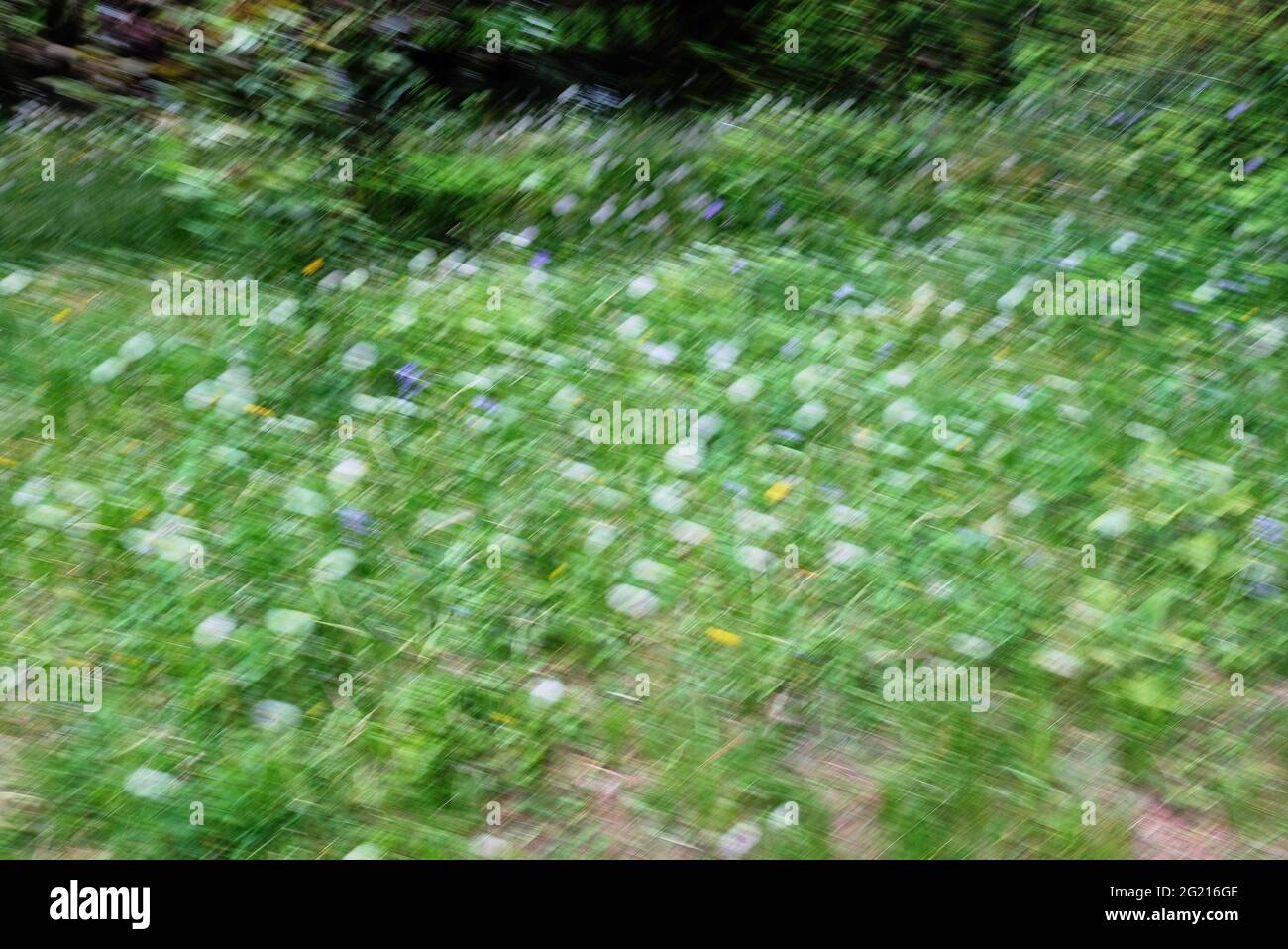 Cross hatching hi-res stock photography and images - Alamy