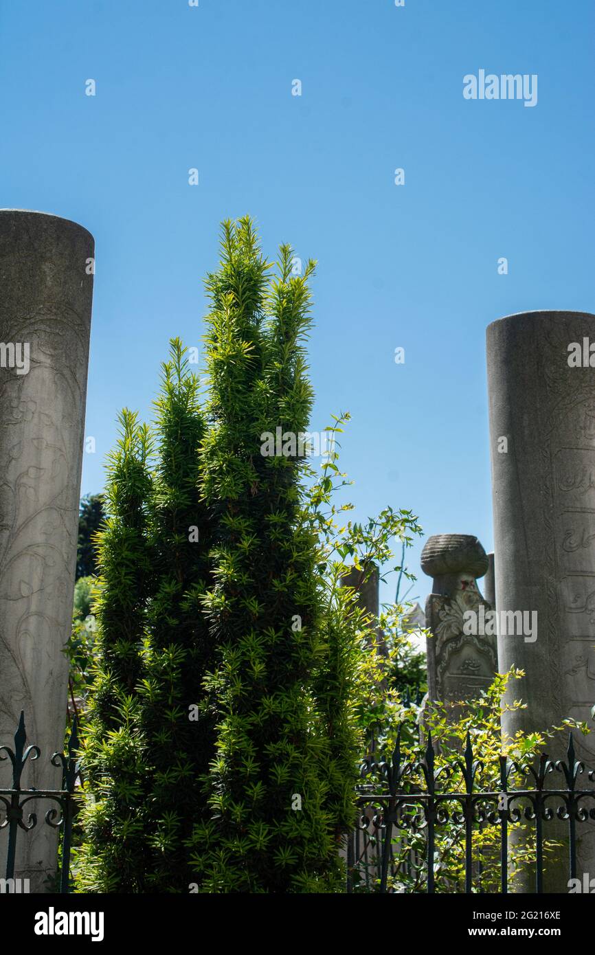Ottoman style decorative art in marble tomb in cemetery Stock Photo - Alamy