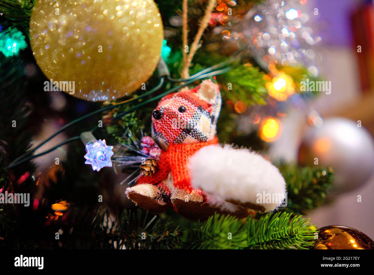 Seam squirrel hi-res stock photography and images - Alamy
