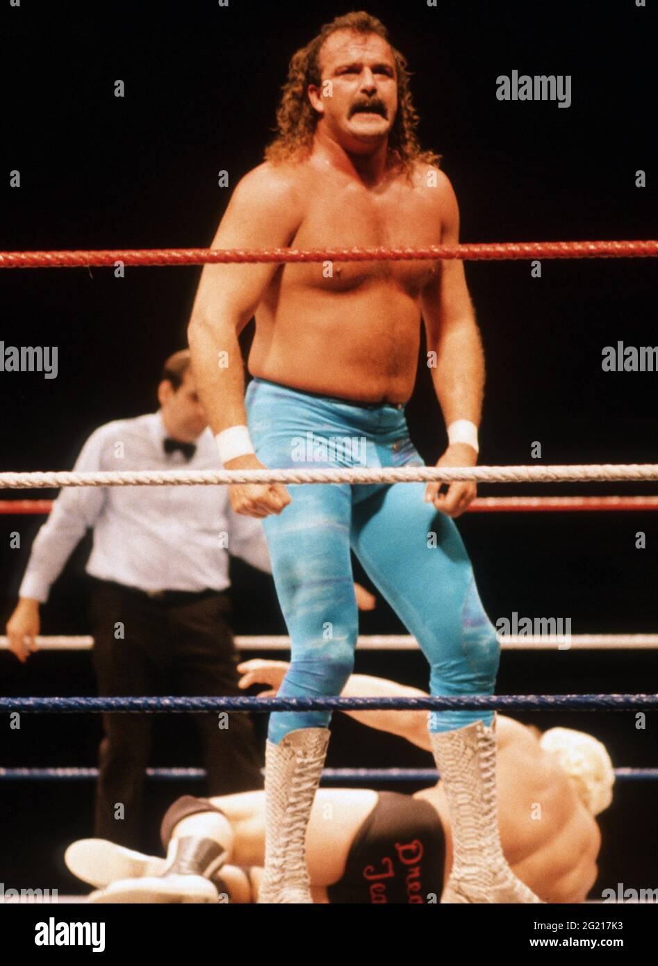 Jake the snake hi-res stock photography and images - Alamy