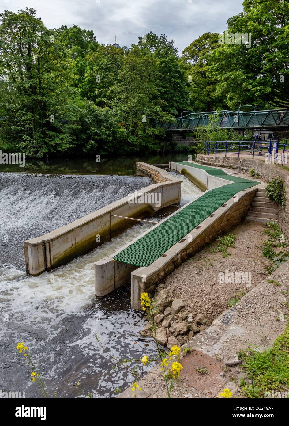 Weir fish ladder on river hi-res stock photography and images - Alamy