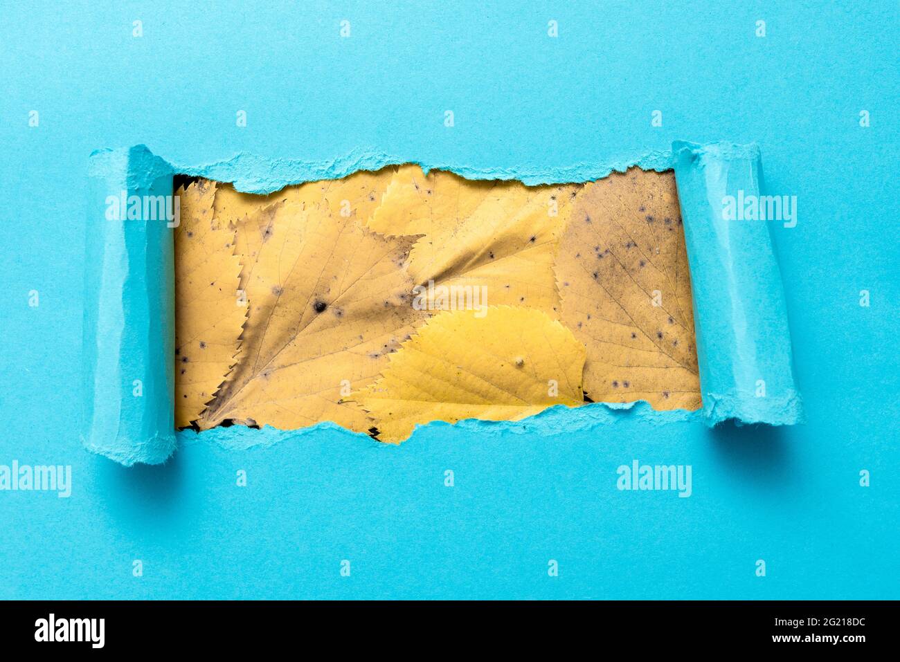 Abstract plain tear paper showing background conspectus flat sheet ...