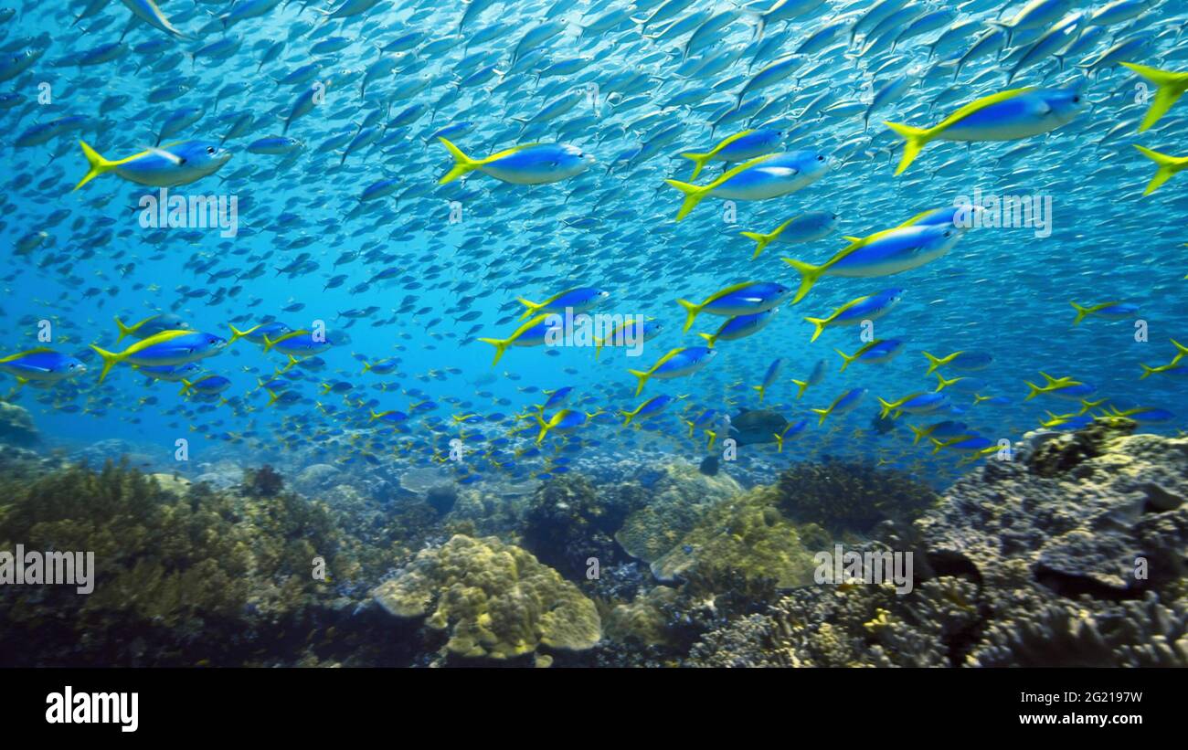 BREAKING BOUNDARIES: THE SCIENCE OF OUR PLANET, 2021. © Netflix ...