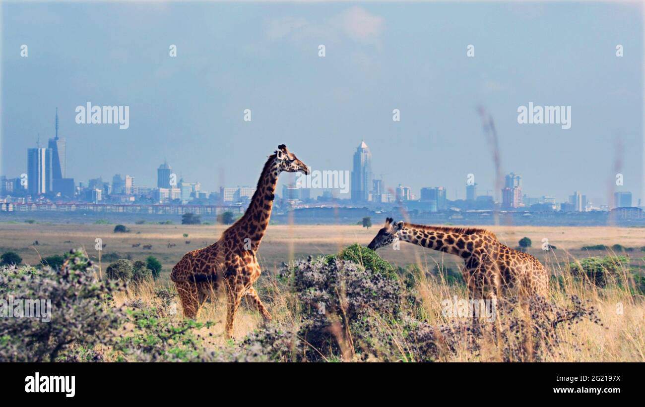 BREAKING BOUNDARIES: THE SCIENCE OF OUR PLANET, 2021. © Netflix ...