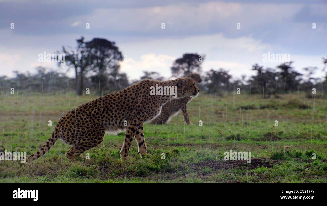 BREAKING BOUNDARIES: THE SCIENCE OF OUR PLANET, 2021. © Netflix ...